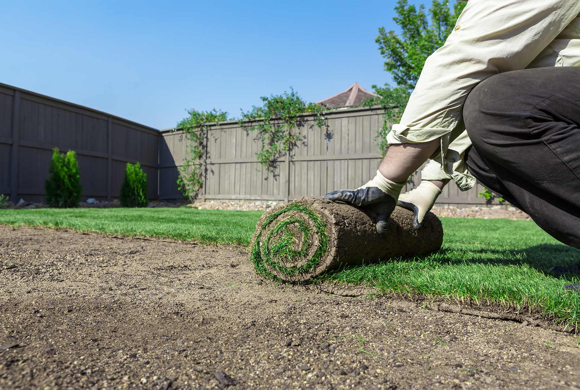 sod | All Around Lawn & Landscaping